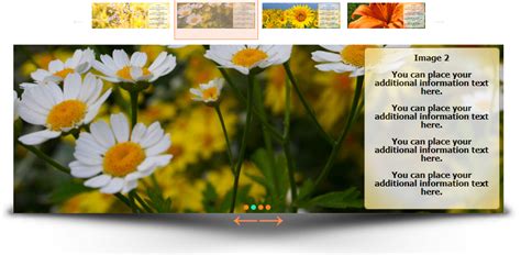 Examples Of Web Builders For Css Menujavascript Menudrop Down Menumodal Windowslider