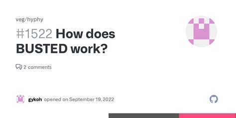 How Does Busted Work · Issue 1522 · Veghyphy · Github