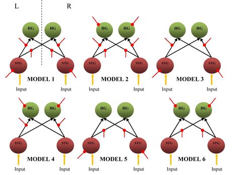 Six Bilinear Causal Model Having Connections And Regions Influenced By