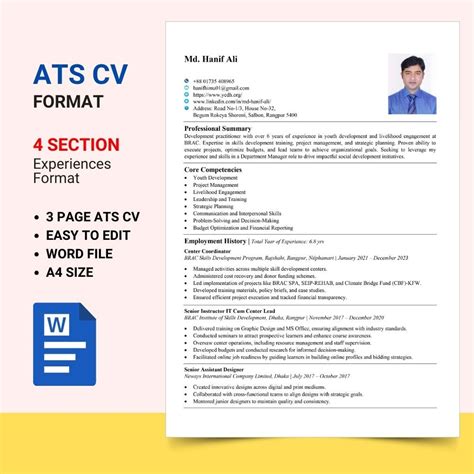 Ats Cv Format 4 Job Experience