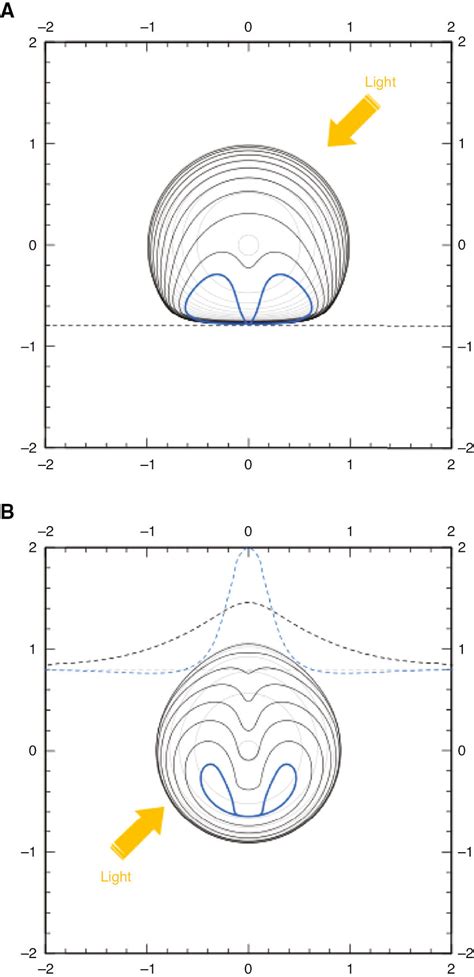 Simulations Of Gas Bubble Collapse Simulation Of An Asymmetric Download Scientific Diagram