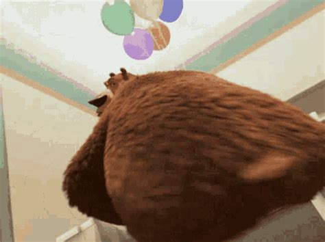 Boog Open Season  Boog Open Season Twerk Ищите  файлы и