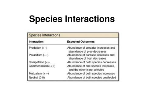 Ppt Predator Prey Interactions Survival Strategies In Species