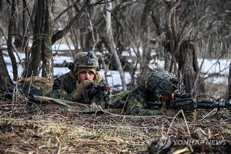 수색 및 정찰하는 미 해병대 장병 연합뉴스