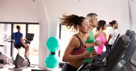 Unique Lactic Acid Bacterium Could Suppress Fatigue And Support
