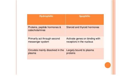 Hormone Synthesispdffutdtufdtudtudtufdtu Pdf