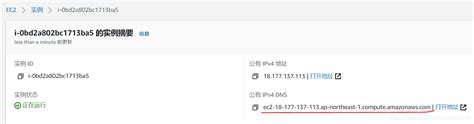 在aws上部署springboot项目aws部署springboot项目 Csdn博客