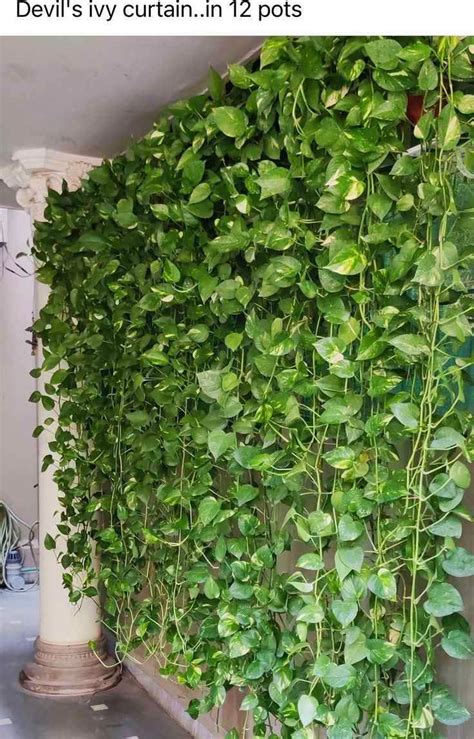 අවුරුදු Offers 🌞🌿 මේ අලුත් අවුරුද්දේ ඔයාගෙ නිවස Restaurant එක Natural