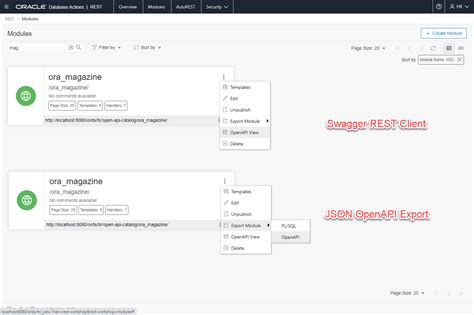 Ords 212 Rest Workshop And Openapi Overview And  Demo