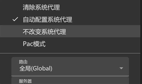 在本地只有ipv4的情况下连接纯ipv6的vps——非常简单 开发调优 Linux Do