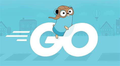 Golang Go 언어에서 Interface인터페이스를 사용하여 다양한 데이터 유형을 처리하기