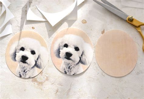 Dog Christmas Card Ideas The Graphics Fairy