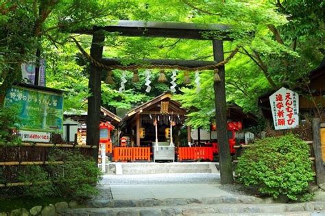 日本神社文化丨鸟居的含义和构造 日本通