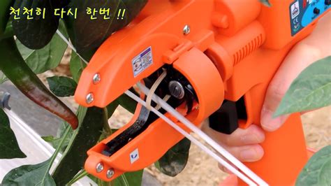 고추줄 결속 쉽게하는 방법 Youtube