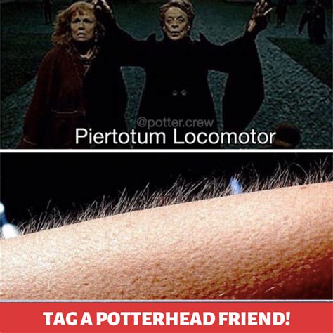 This Spell From Professor Mcgonagall Was 🔥🔥🔥🔥 R Harrypotter