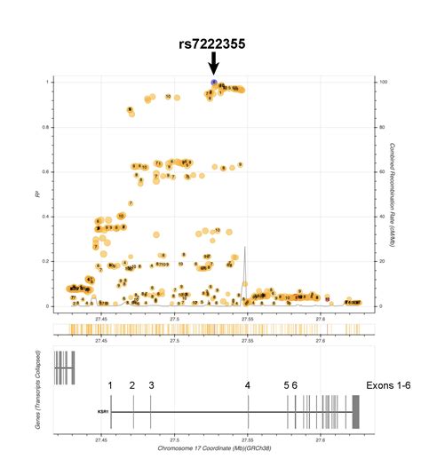Solved Please Discuss Whether This Figures Tagging Snp Is