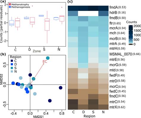 Methanogenesis But Not Methanotrophy Genes Are More Abundant With