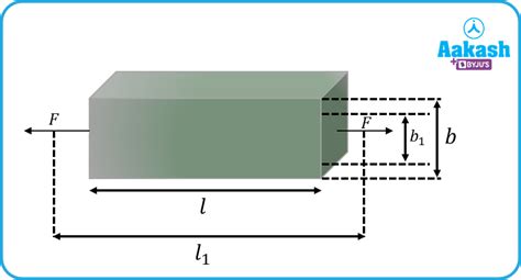 Longitudinal Strain Definition Formula And Strain Physics Aakash