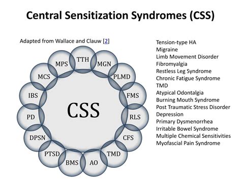 Ppt Central Sensitization Clinical Implications For Chronic Head And