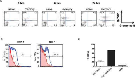 Figure 2 From Bystander Activated Memory Cd8 T Cells Control Early