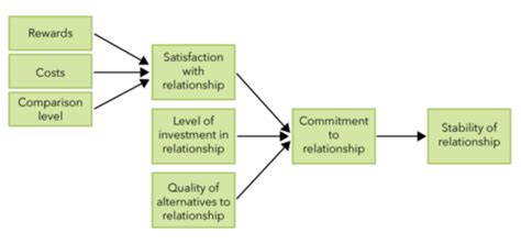 Psych 210 Sexual Relationships Flashcards Quizlet