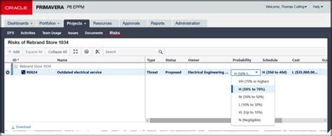 Managing Risks In P6 Eppm Drmcnatty And Associates