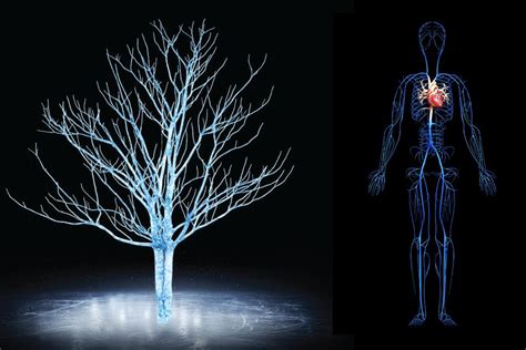 Carnegie Mellon Universitys Biomedical Engineering On Linkedin 3d