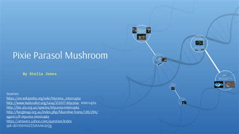 Pixie Parasol Mushroom By Stella Jones On Prezi