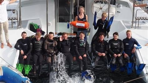 Leanne Walmsley Dissulto