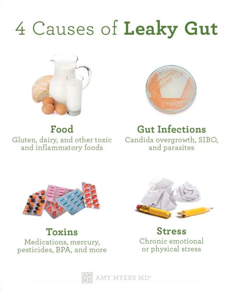 9 Symptoms Of Leaky Gut What To Do Amy Myers MD