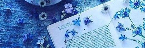 Header Header Banner Blue Banner Cute Headers For Twitter
