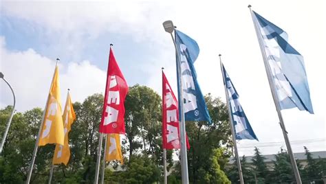 Marion Lambert Posted On Linkedin