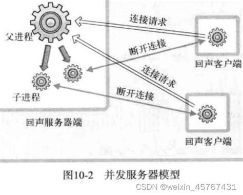 多进程服务器端 Csdn博客