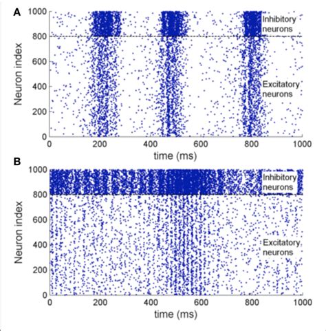 a raster plot of the network activity with 1000 neurons at the