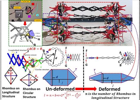 Analysis Of Segmental Muscle Mimetic Unit Download Scientific Diagram