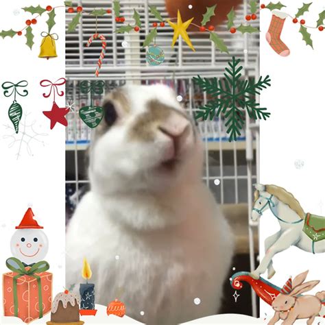今日はクリスマスイブ Nanaのブログ