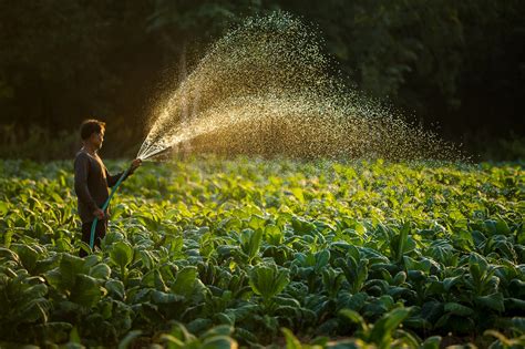 โรงเรียนพระปริยัติธรรมวัดผ่องพลอยวิริยาราม สวดมนต์ข้ามปี เพื่อเป็นสิริมงคลแก่ชีวิต เสริมบุญ