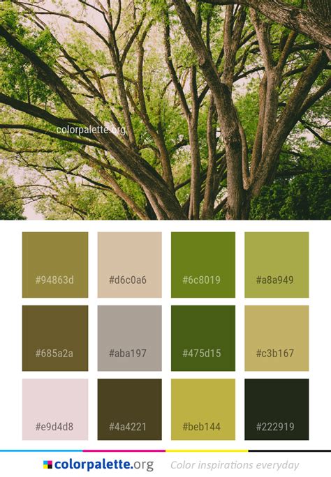 Tree Vegetation Ecosystem Color Palette