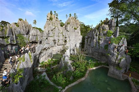 rainforest wild asia in mandai opens on march 12 visitors can opt for