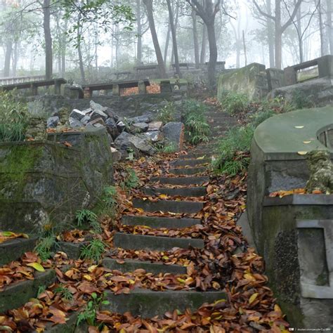 远山景织子遠山景織子写真 女人吧