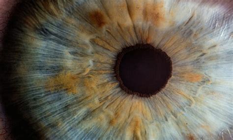 OpenAI Makes GPT 4 Turbo With Vision API Generally Available Europeantech