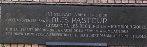 Flashback Quand Louis Pasteur était doyen de la fac de sciences de