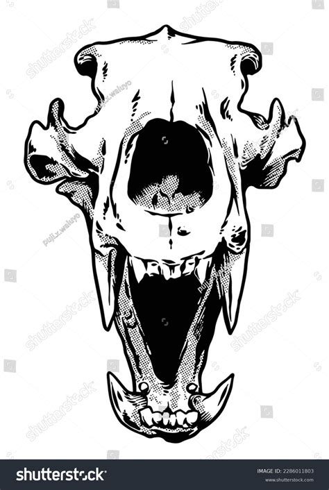 Teddy Bear Skull Drawing