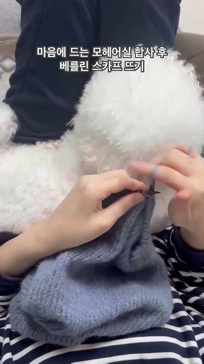 베를린 스카프 만들기 Knitting Youtube