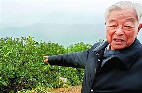 褚時健出獄人走茶未涼家中賓客盈庭任新民說因為做事公正 每日頭條