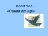 Проект года - «Синяя птица» презентация – скачать проект по педагогике
