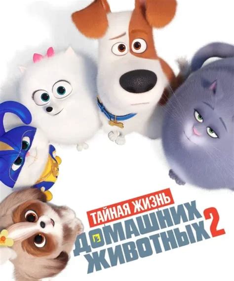 Тайная жизнь домашних животных 2 мультфильм 2019 смотреть онлайн бесплатно в хорошем качестве