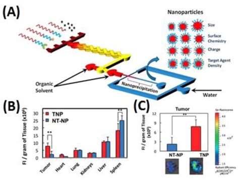 Recent Advances Of Controlled Drug Delivery Using Microfluidic Platforms Pmc