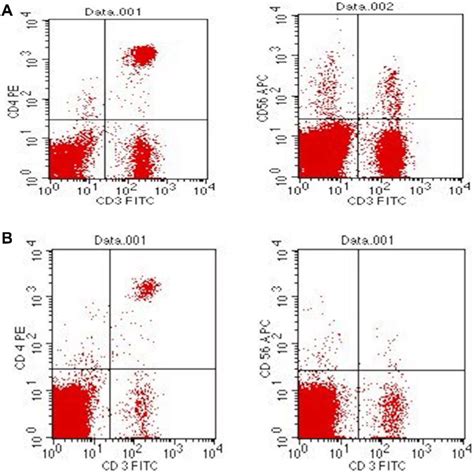 Representative Dot Plots Demonstrating The Percentage Of Bone Marrow