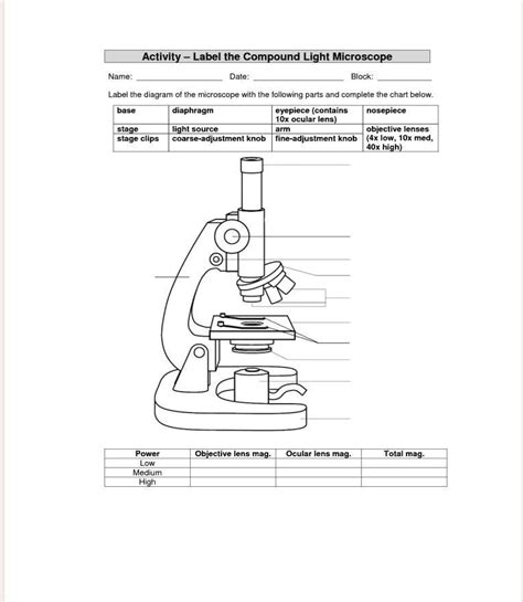 Solved Activity Label The Compound Light Microscope Activity Label The Compound Light